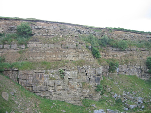 Building Stones - NYGP